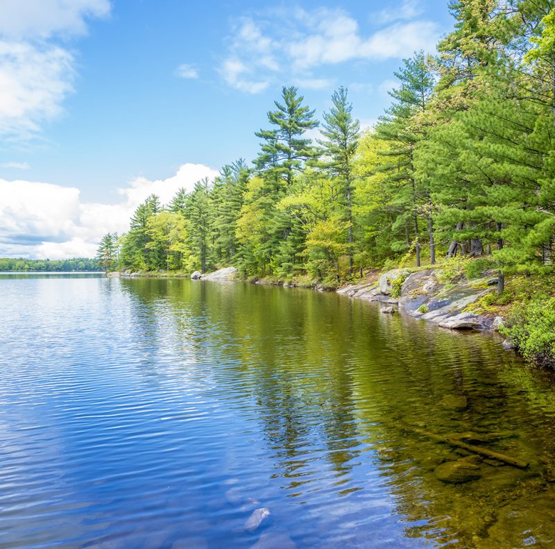 Home | Hunting, Fishing - Gathering Lake Outfitters